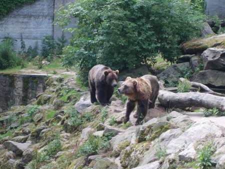 ZOO Děčín :: Tipy na Výlety a zábava